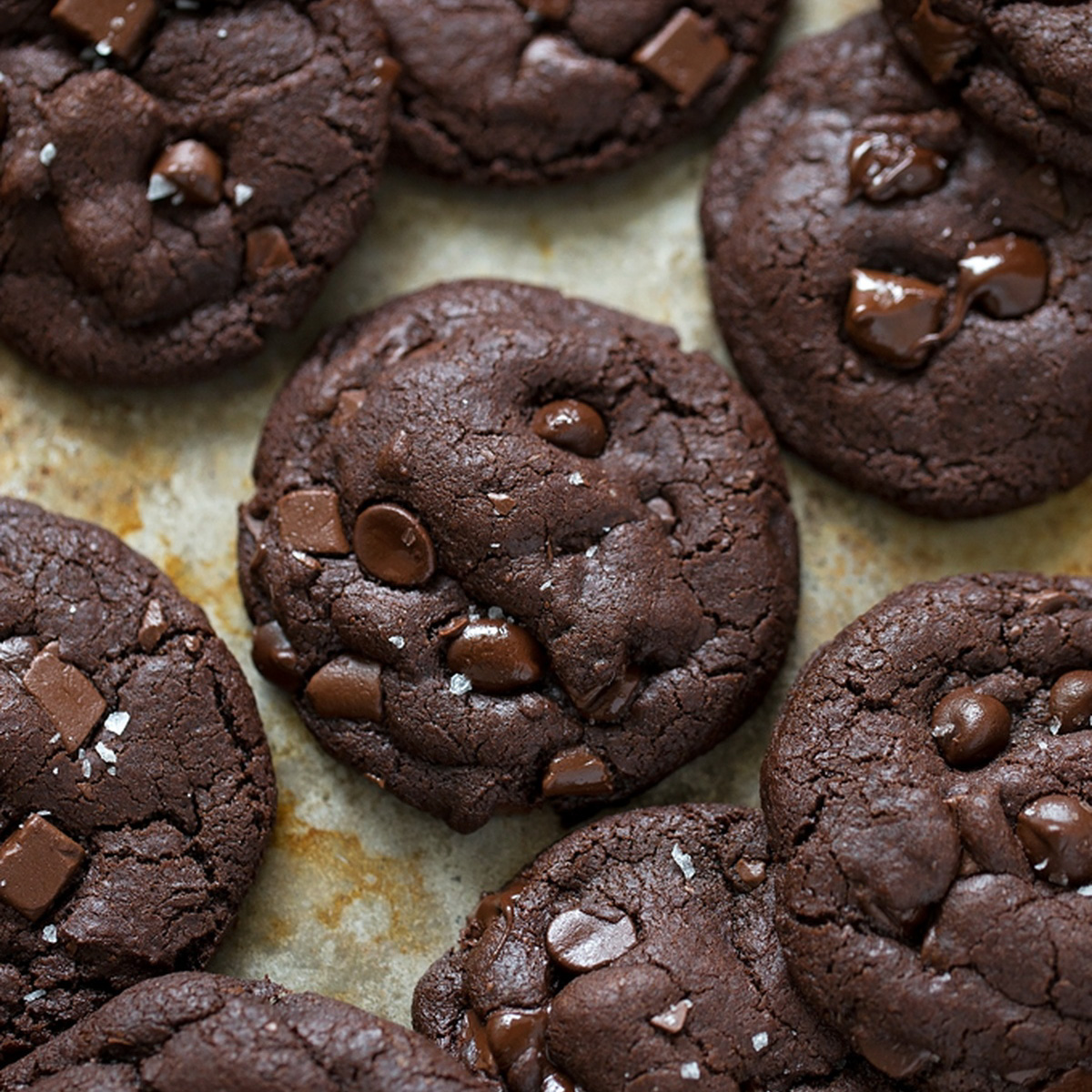 Double Chocolate Cookies Sourdough Chocolate Cookie Recipe